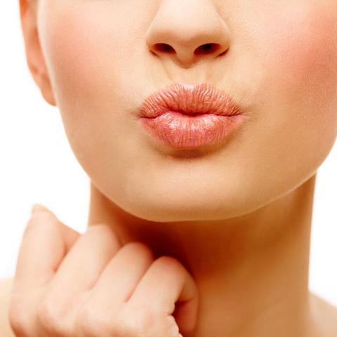 Lip Perfection | Mineral Fusion